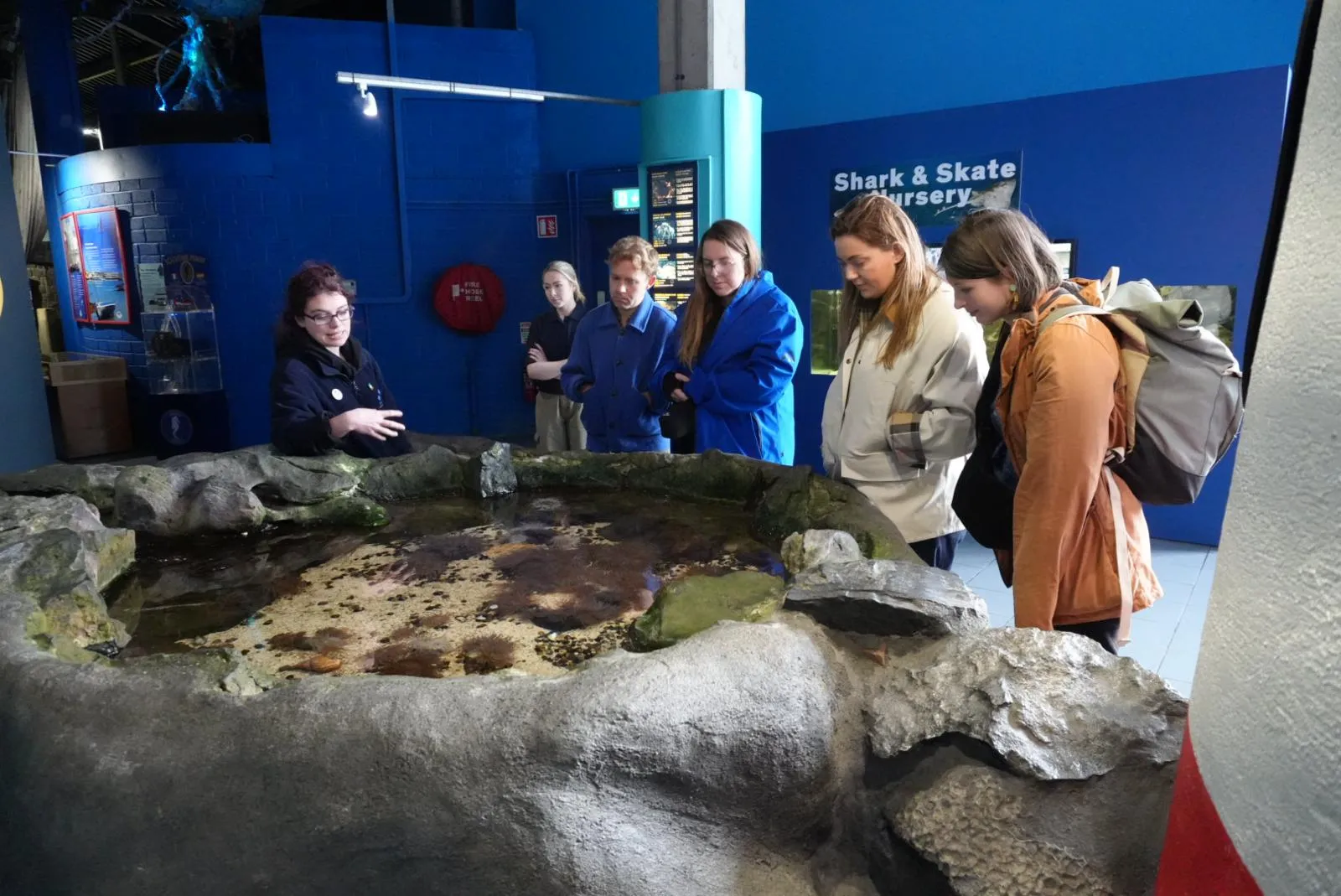 WAVES of CHANGE ART EXHIBITION A showcase by artists to promote Ocean ...