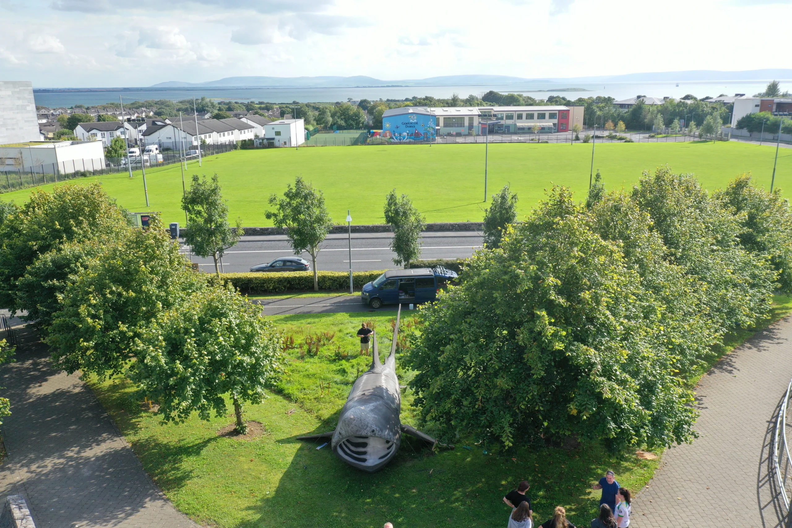 Global experts to dive into basking shark conversation at Galway ...