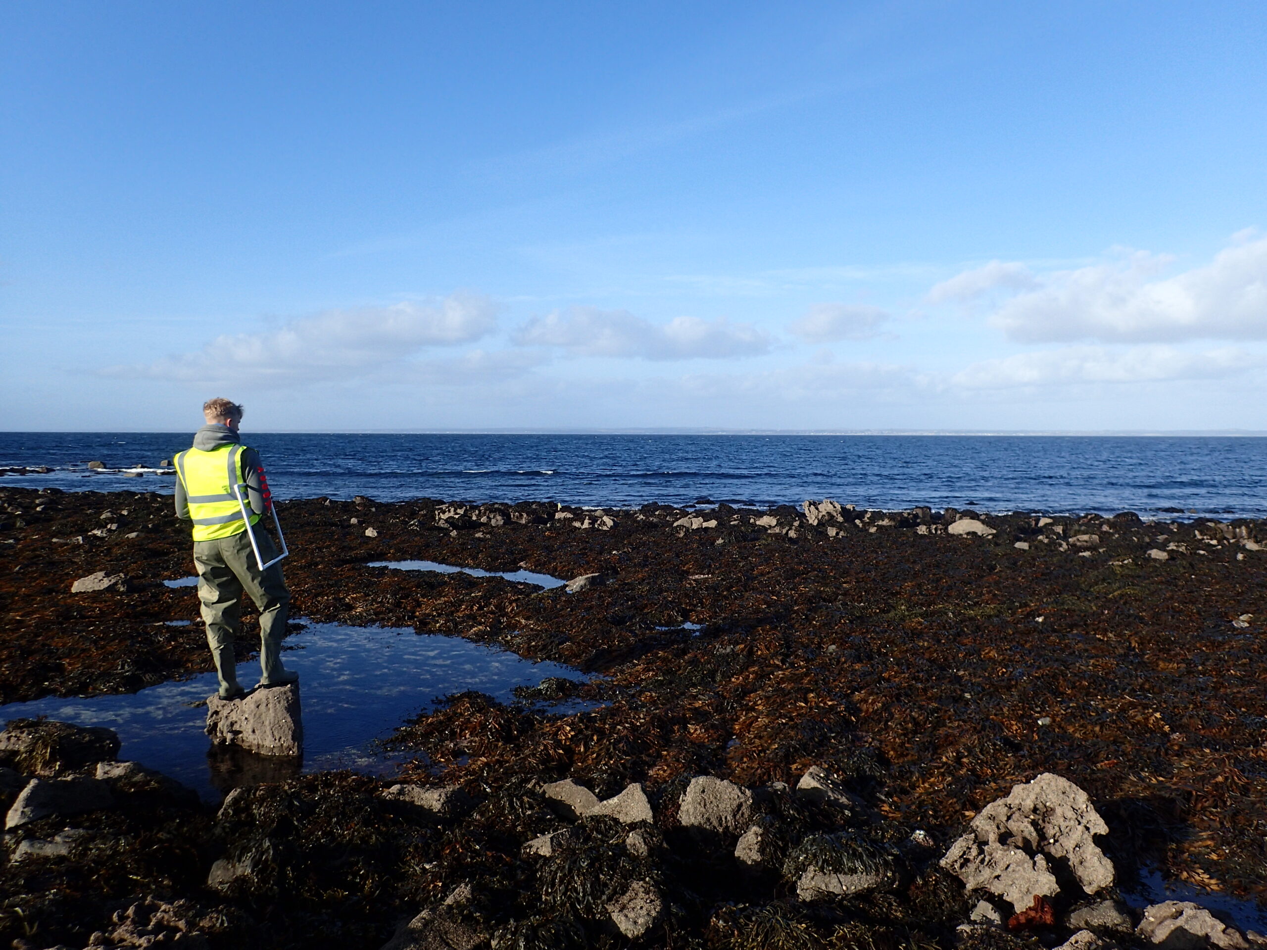 Atlantic Technological University Ranked Number 1 in Ireland and Number ...